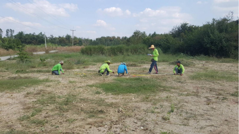 Marking out - Thai House Build